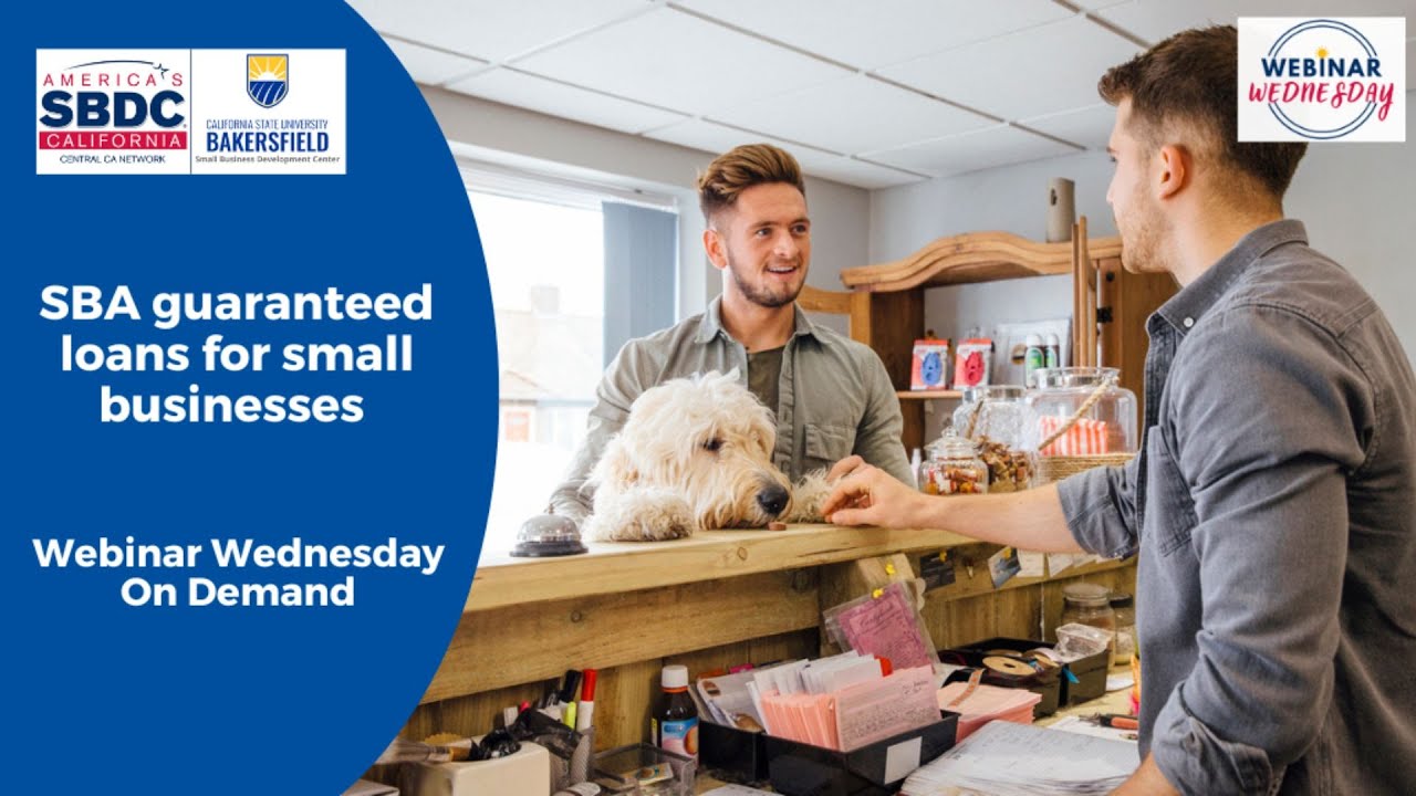 SBA Guaranteed Loans for Small Businesses - YouTube