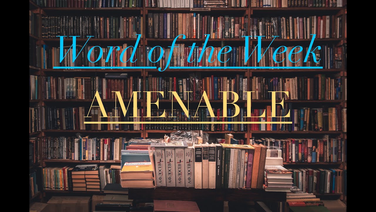 How to Use the Word "Amenable" - YouTube