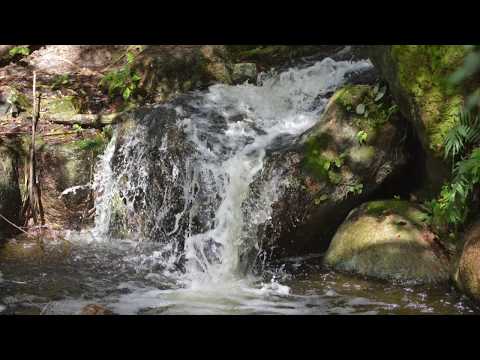 ♡ Beautiful Nature Photos And Relaxing Fantasy Music - Cinematic Music - Original Photography ♡