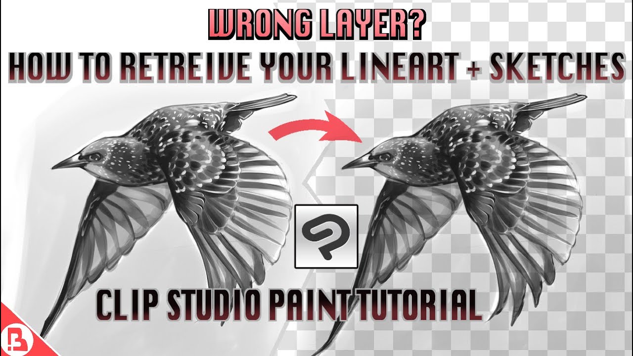 Wrong Layer? How to Save Your Lineart and Sketches! - CLIP STUDIO PAINT ...