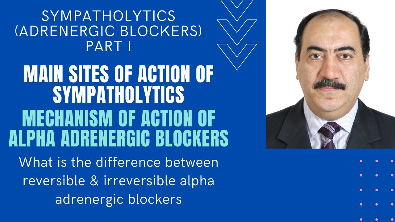 Sympatholytics: Classification, main sites of action and MOA of alpha ...