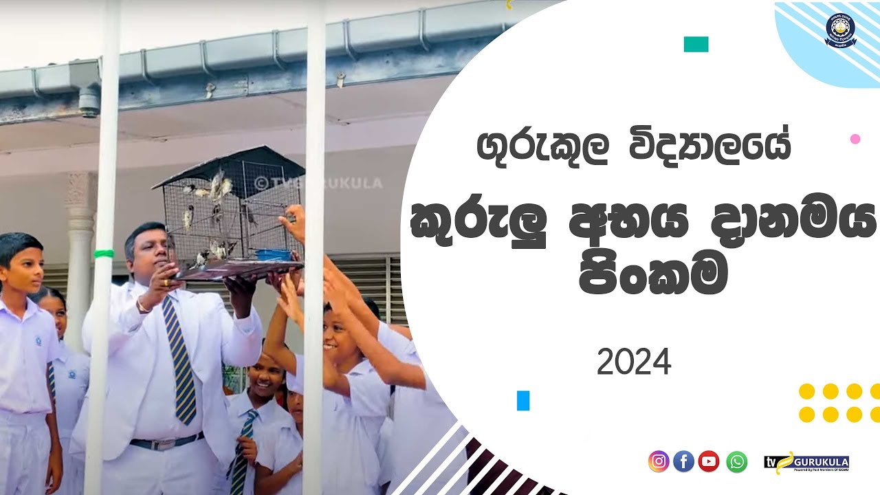 කුරුලු අභය දානමය පිංකම 2024 | Event Highlights - YouTube