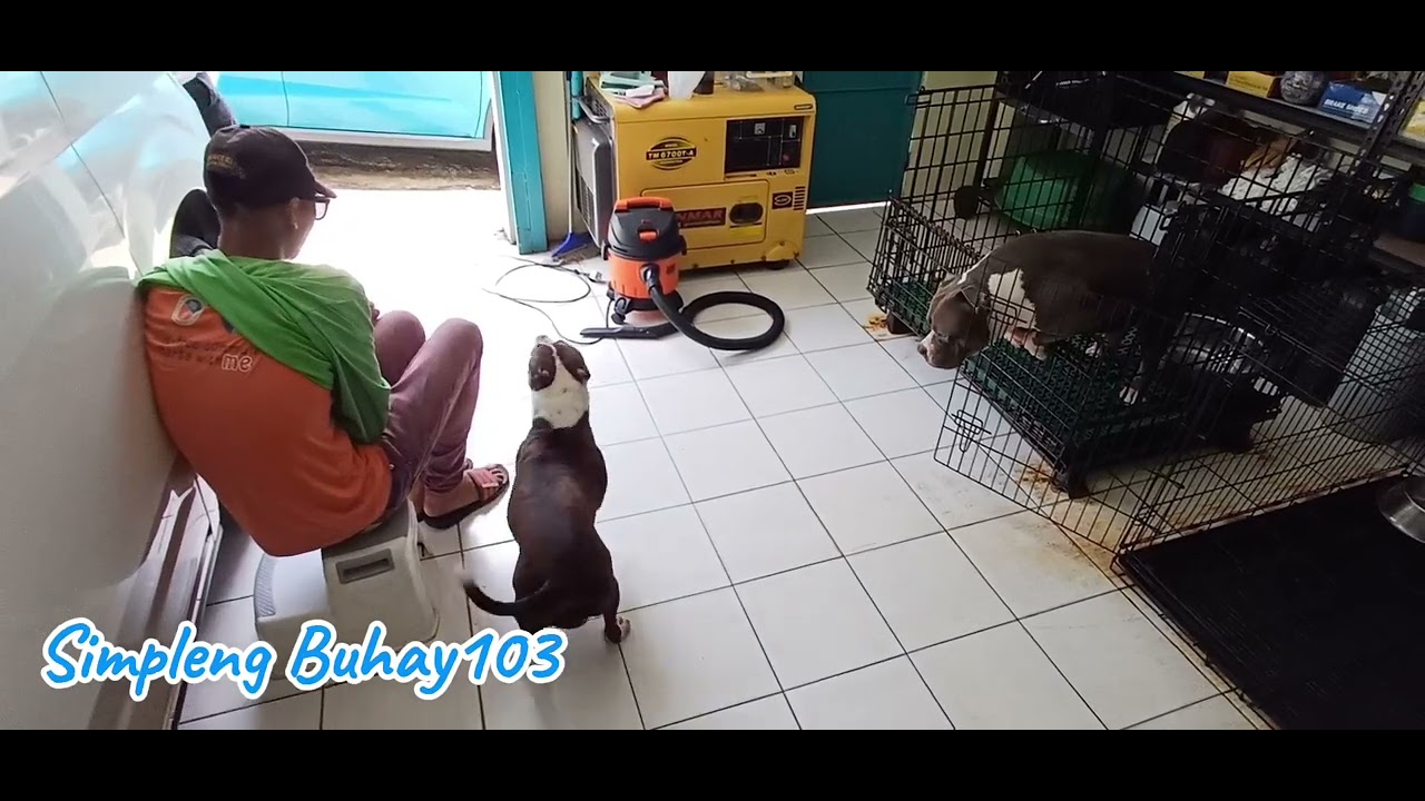 kaengon c bugay og bukog - YouTube