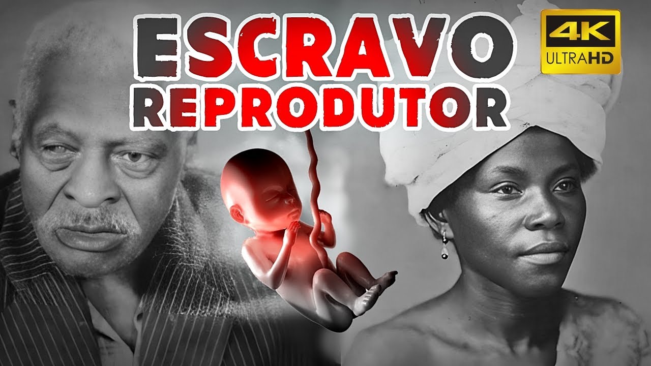O ESCRAVO REPRODUTOR | PATA-SECA - YouTube