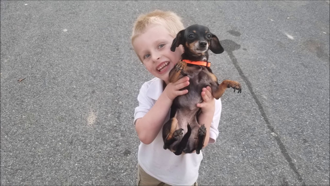 drake movie - YouTube