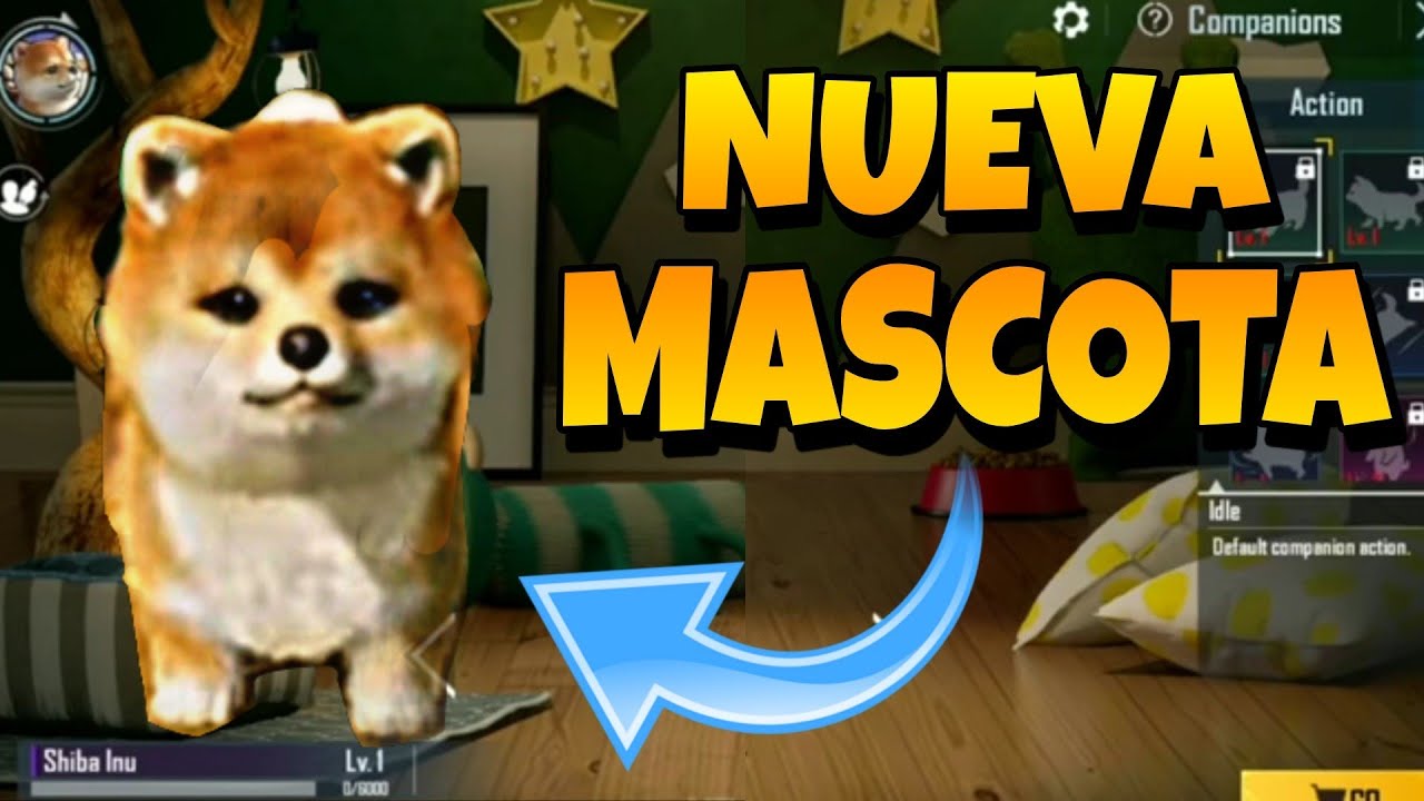 SHIBA INU la NUEVA MASCOTA de PUBG MOBILE - YouTube