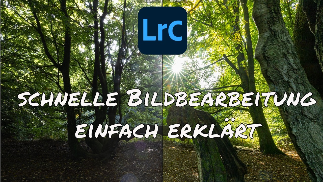 schnelle Bildbearbeitung in Lightroom - Waldbild in wenigen Klicks ...