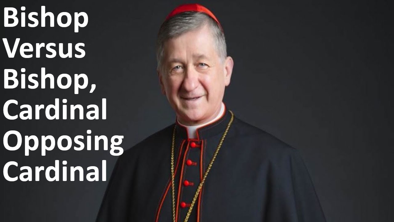 Bishop Versus Bishop. Cardinal Opposing Cardinal - YouTube