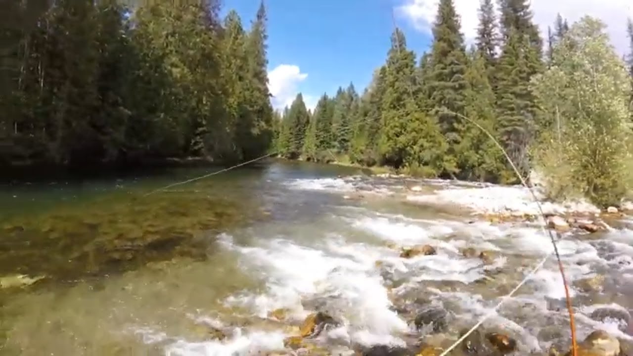 Fly Fishing the Salmo River - YouTube
