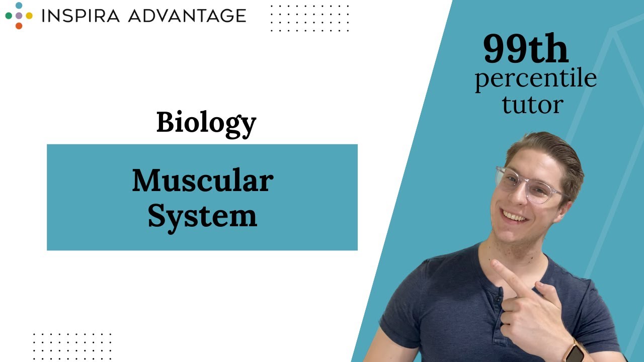 Biology: Muscular System | MCAT Crash Course - YouTube