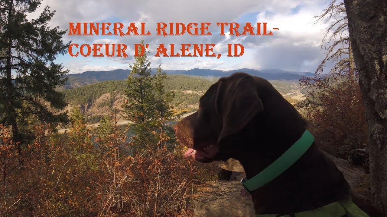 Mineral Ridge Trail - YouTube