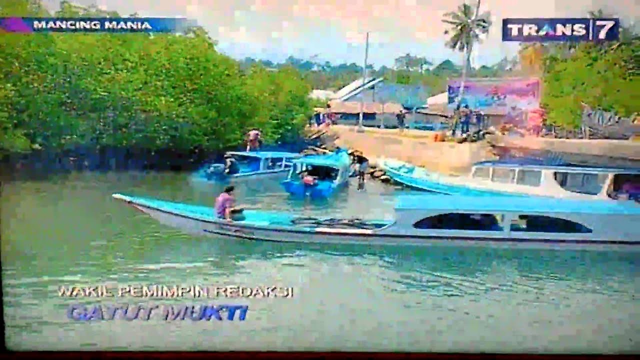 Mancing Mania Trans7 [[ Petualangan Di Negeri Bakau Part II ]] - YouTube