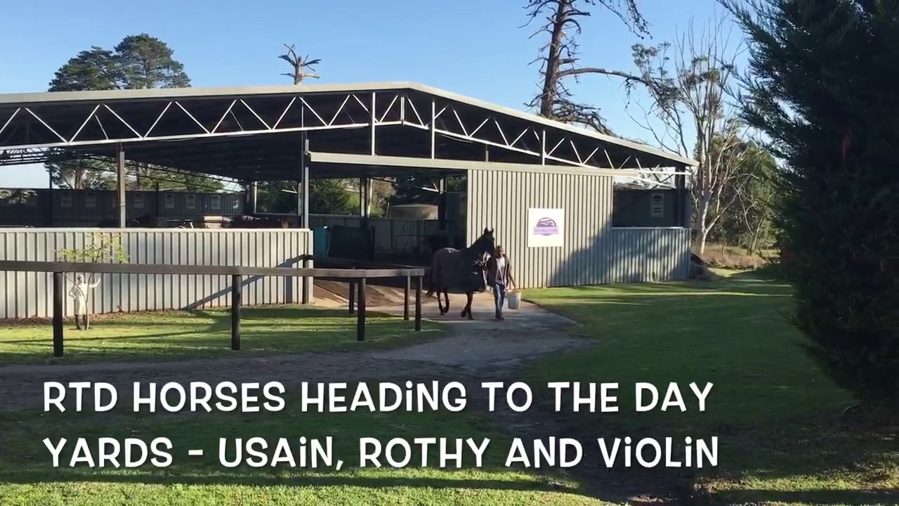 Usain Update Fulmen Park 6th May - YouTube