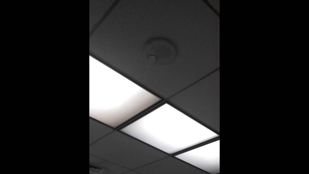 EST Fire Alarm Test #teamtrees - YouTube