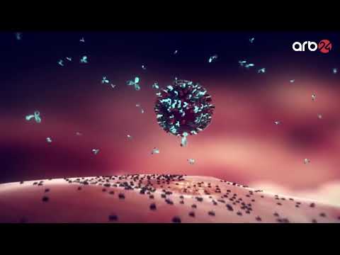 İnsanların 95%-i Herpes daşıyıcısıdır