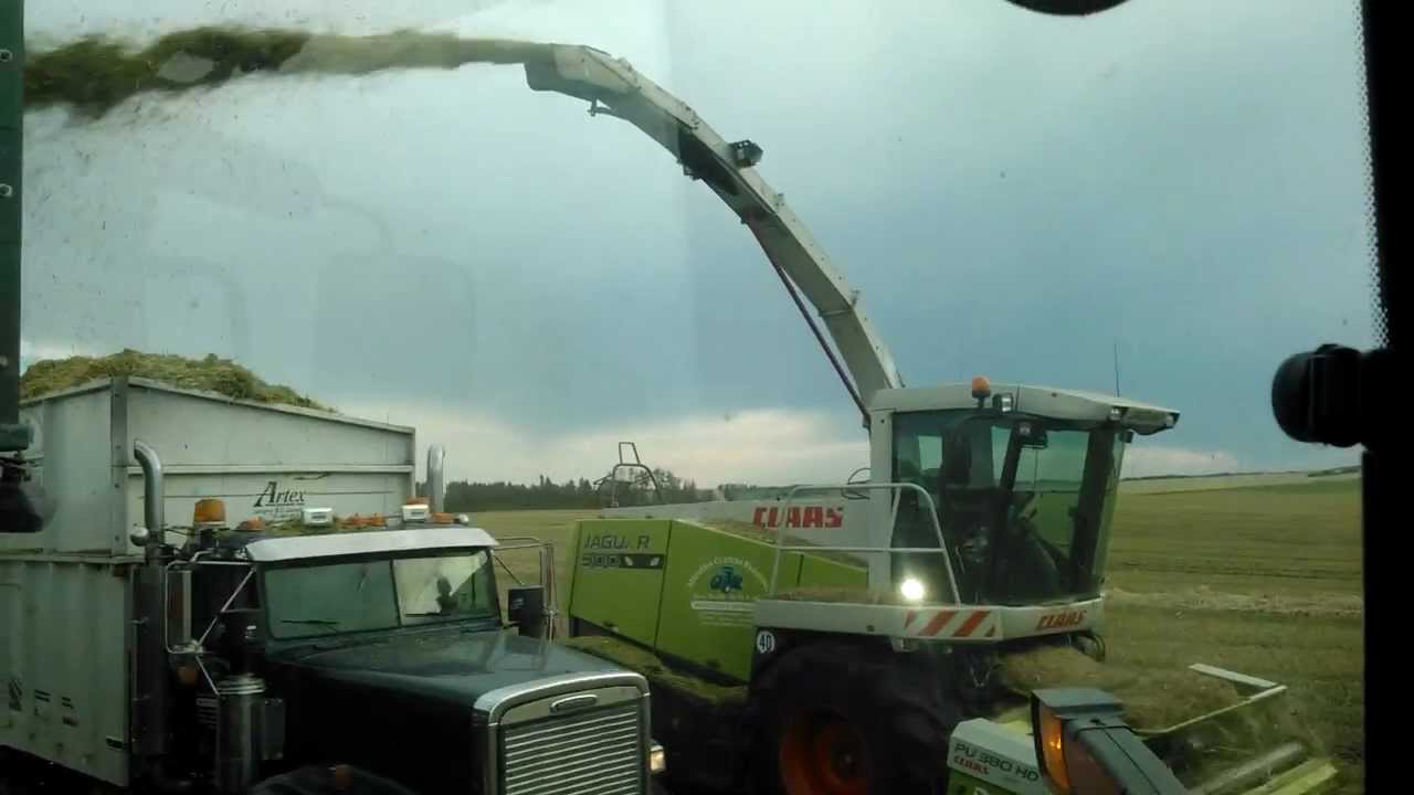 barley silage witch meinema and ideal custom farming - YouTube