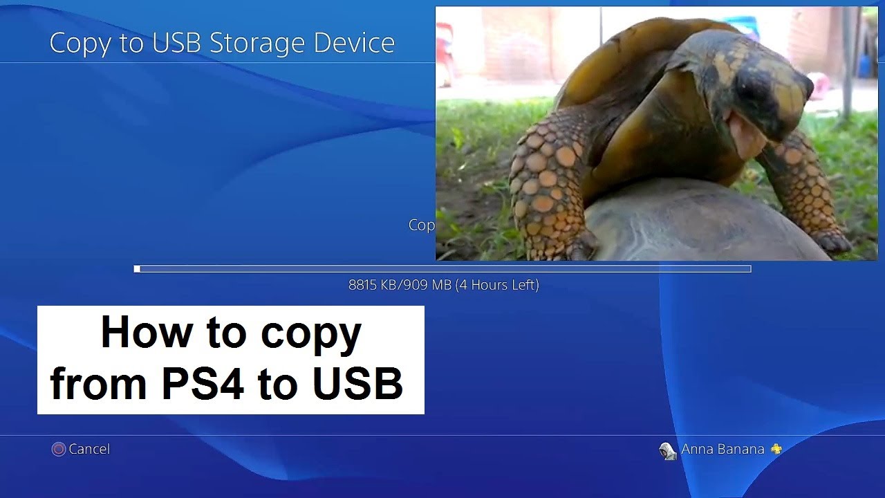 Tortoise can make it faster! How to copy files from PS4 Capture Gallery ...