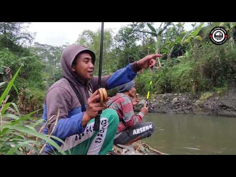 MANCING DI SUNGAI SERAYU || PLUNG NYUT BIKIN HATI SENANG😄😄😄 - YouTube