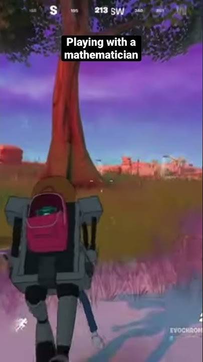 Fortnite vs Mathematician - YouTube