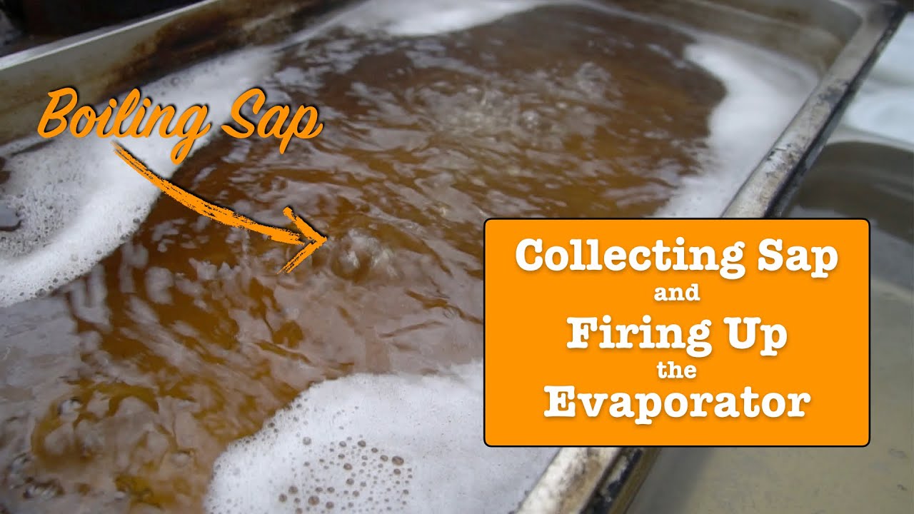 Homemade Sap Evaporator