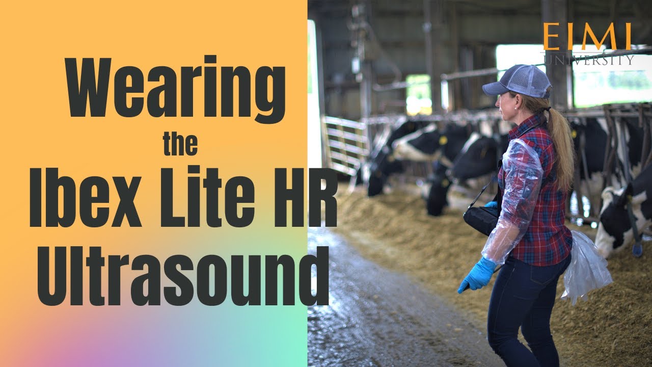 Wearing the Ibex Lite HR Ultrasound - YouTube