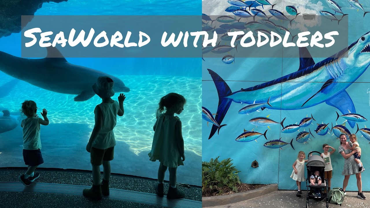 A Whole Day in SeaWorld with Toddlers! 🐬🌊🐠 - YouTube
