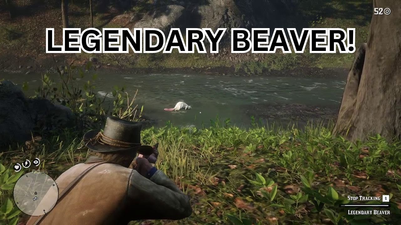 Legendary Animal #1 | Legendary Beaver (Malia) | Red Dead Redemption 2 ...