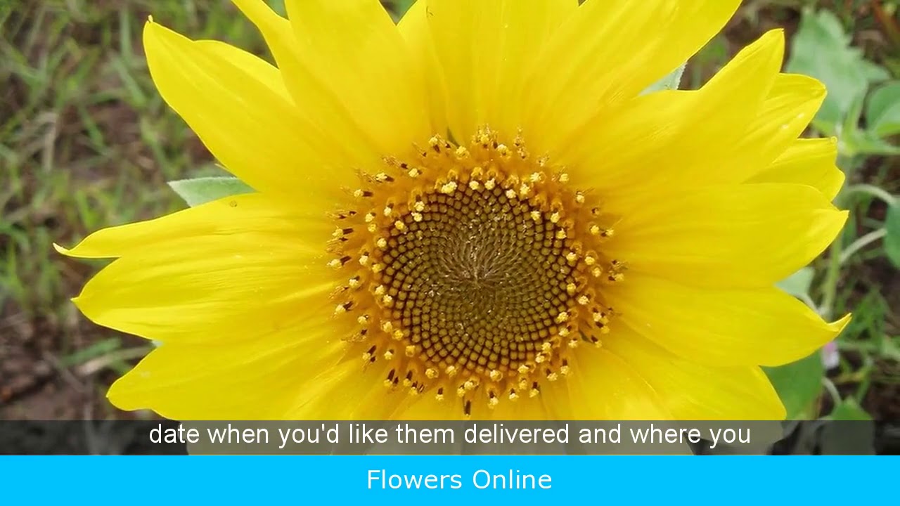 Flowers By Post - YouTube