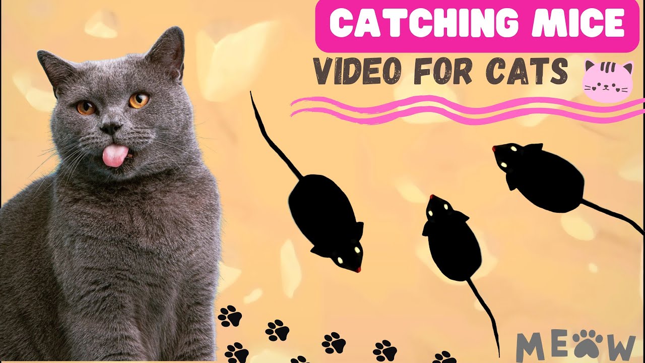 Cat Games- Catching Mice| Video For Cat To Watch| entertainment for ...