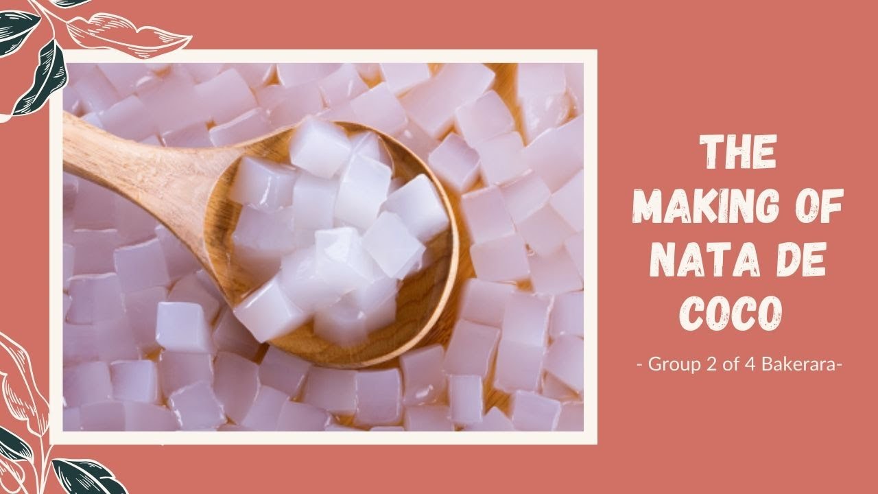 PBL BIOLOGY : NATA DE COCO - YouTube