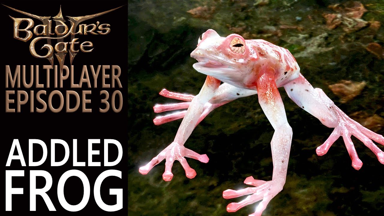 Addled Frog | Multiplayer Baldur's Gate 3 | Gameplay | EP 30 - YouTube