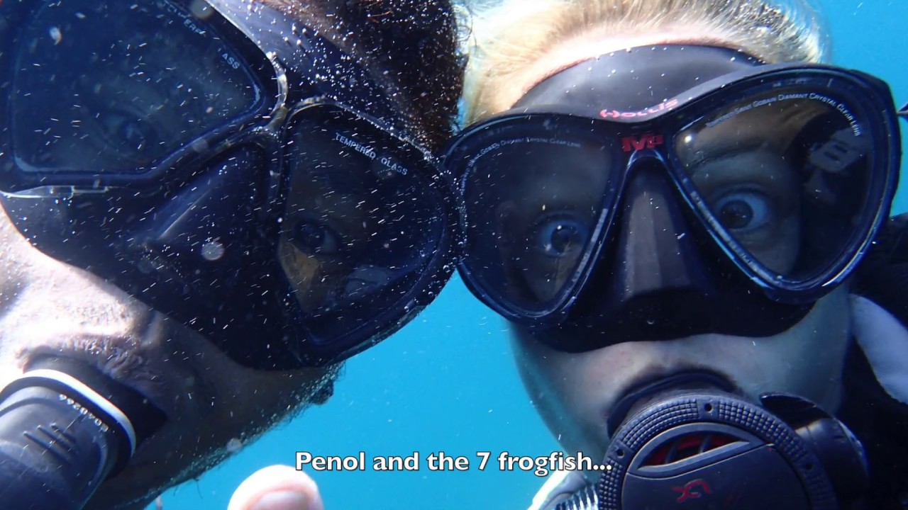 Ladybug's gone diving 2016 - YouTube