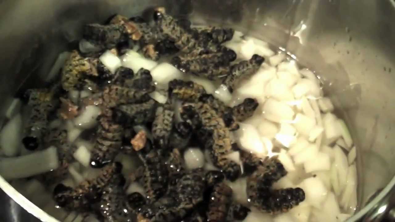 Making Mopane Worm Stew - YouTube
