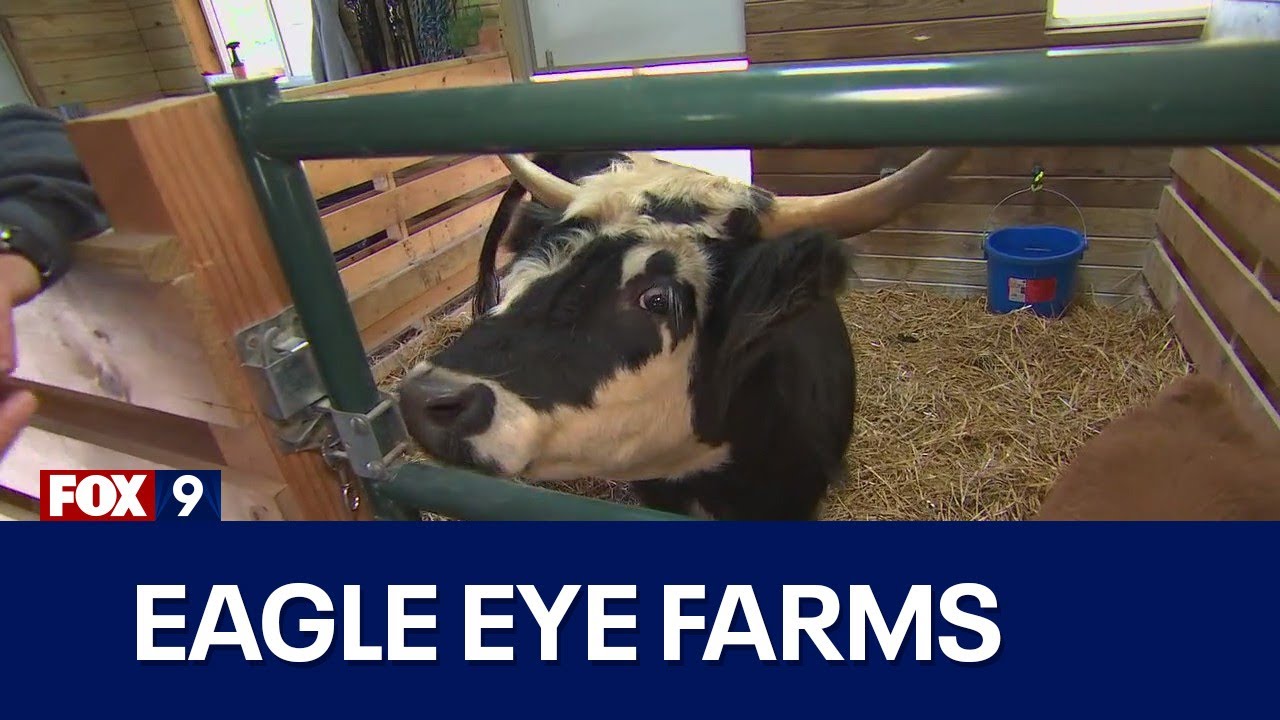 Eagle Eye Farms gets a visit from Shayne - YouTube