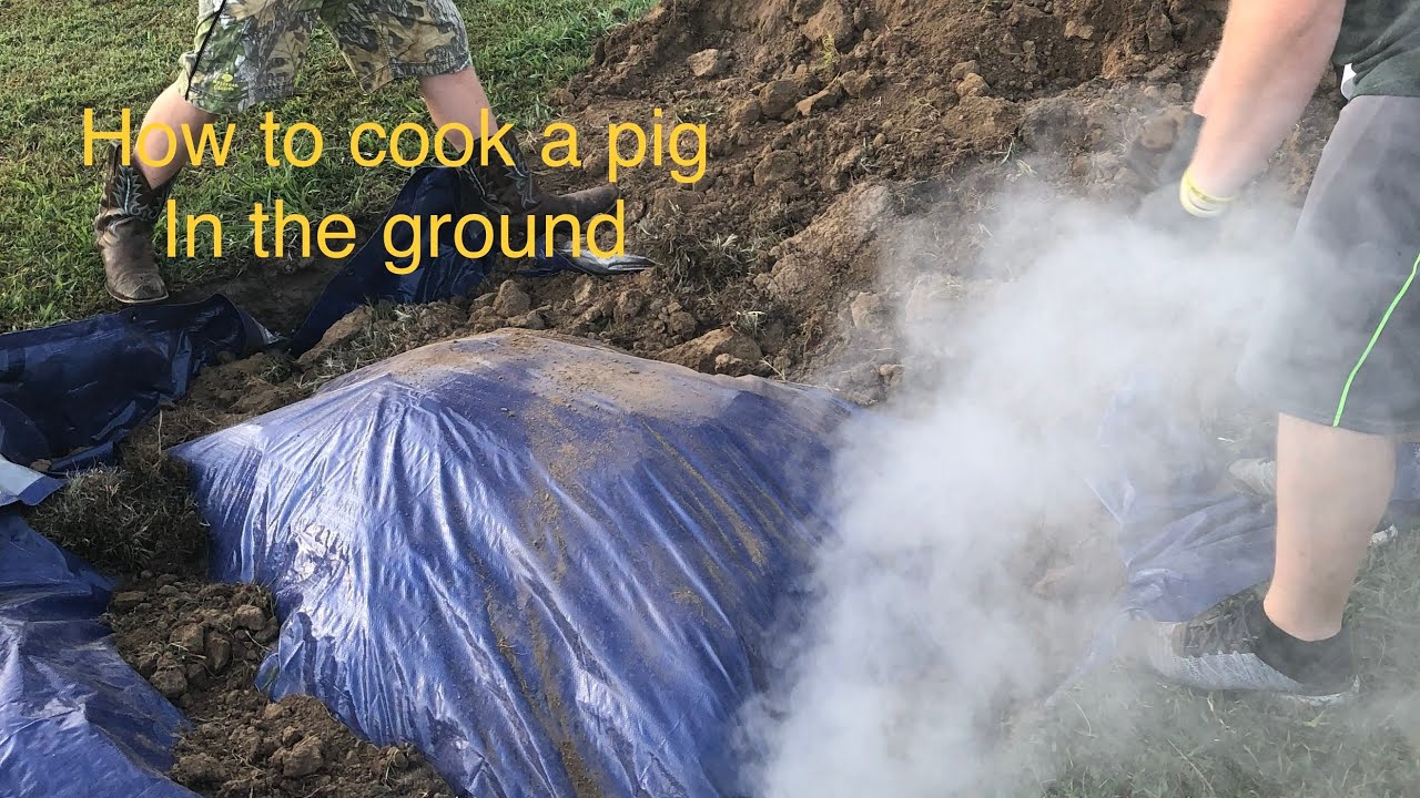 How to cook a pig in the ground using creek rock and banana leaves ...