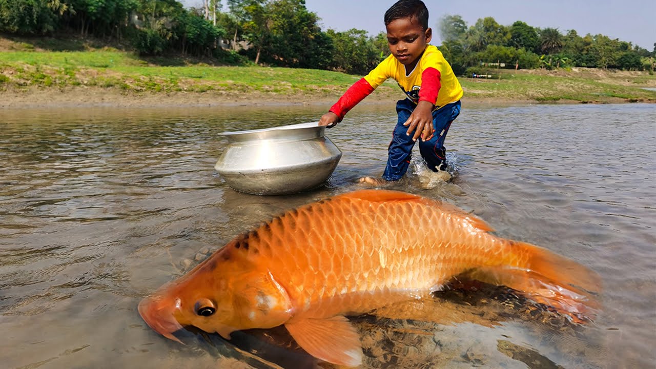 Amazing Boy Catching Fish By Hand | Traditional Little Catching Big ...