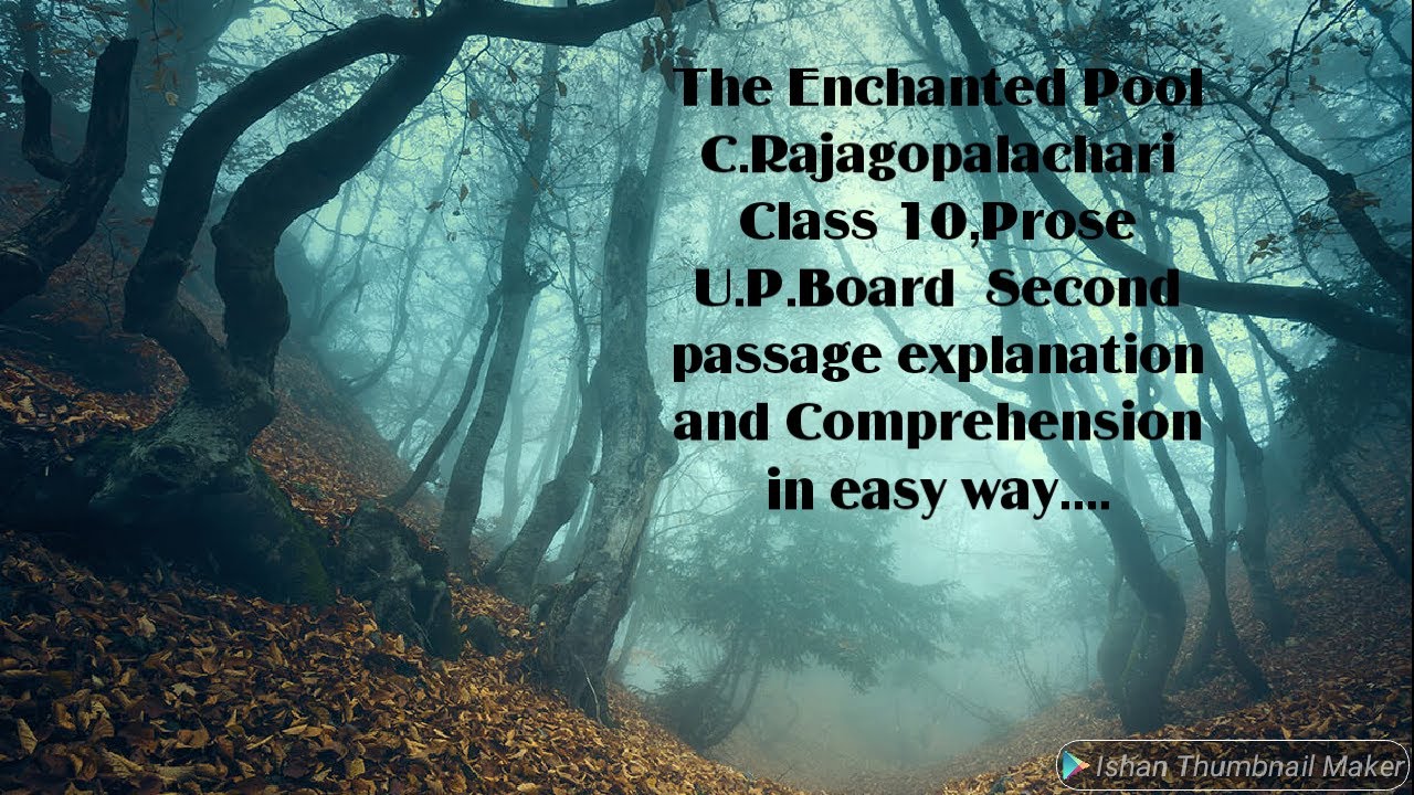 The Enchanted Pool मायावी तालाब Second passage explanation and ...