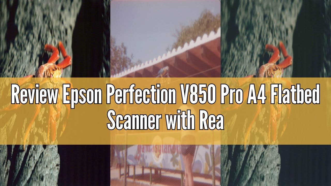 Review Epson Perfection V850 Pro A4 Flatbed Scanner with ReadyScan LED ...