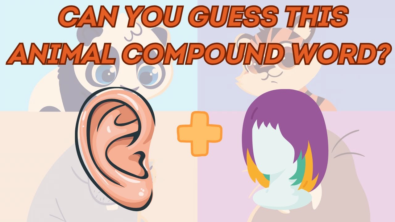 GUESS THE ANIMAL COMPOUND WORD in 5 seconds | 50 Picture Puzzle Game ...