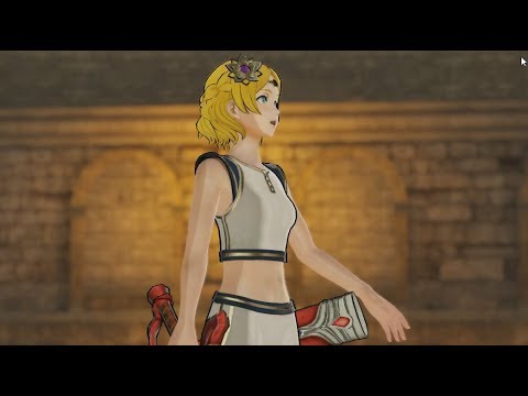 Fire Emblem Warriors (Switch) Clothing Disrobe / Armor Break Attribute ...