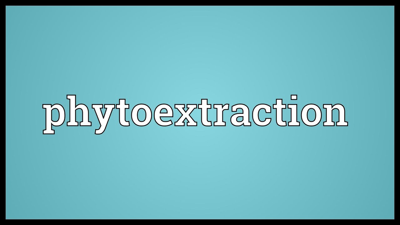 Phytoextraction Meaning - YouTube