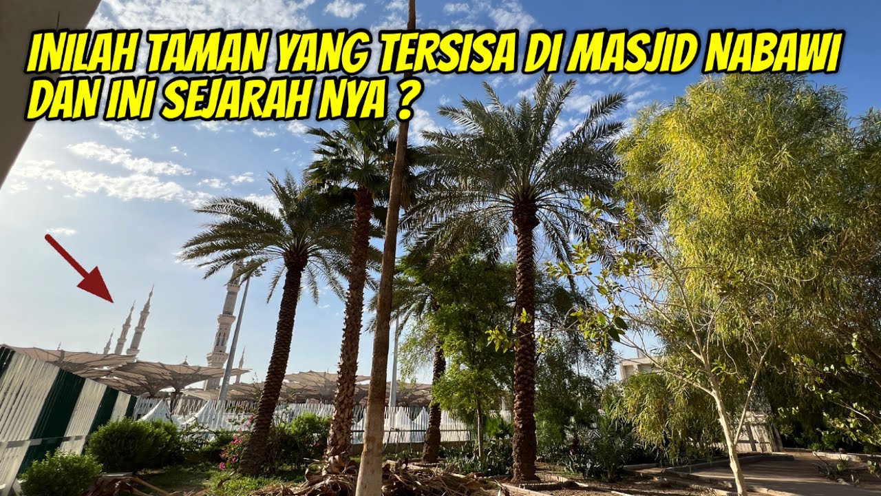 ADA TAMAN DI MASJID NABAWI SAQIFAH BANI SAIDAH, DAN INI SEJARAH NYA ...