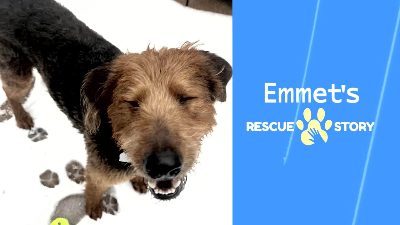 Emmet's Rescue Story - YouTube