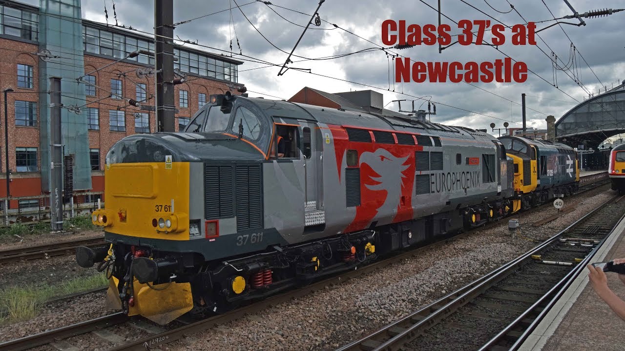 Europhoenix & Colas Rail Class 37's In Newcastle [HD] - YouTube
