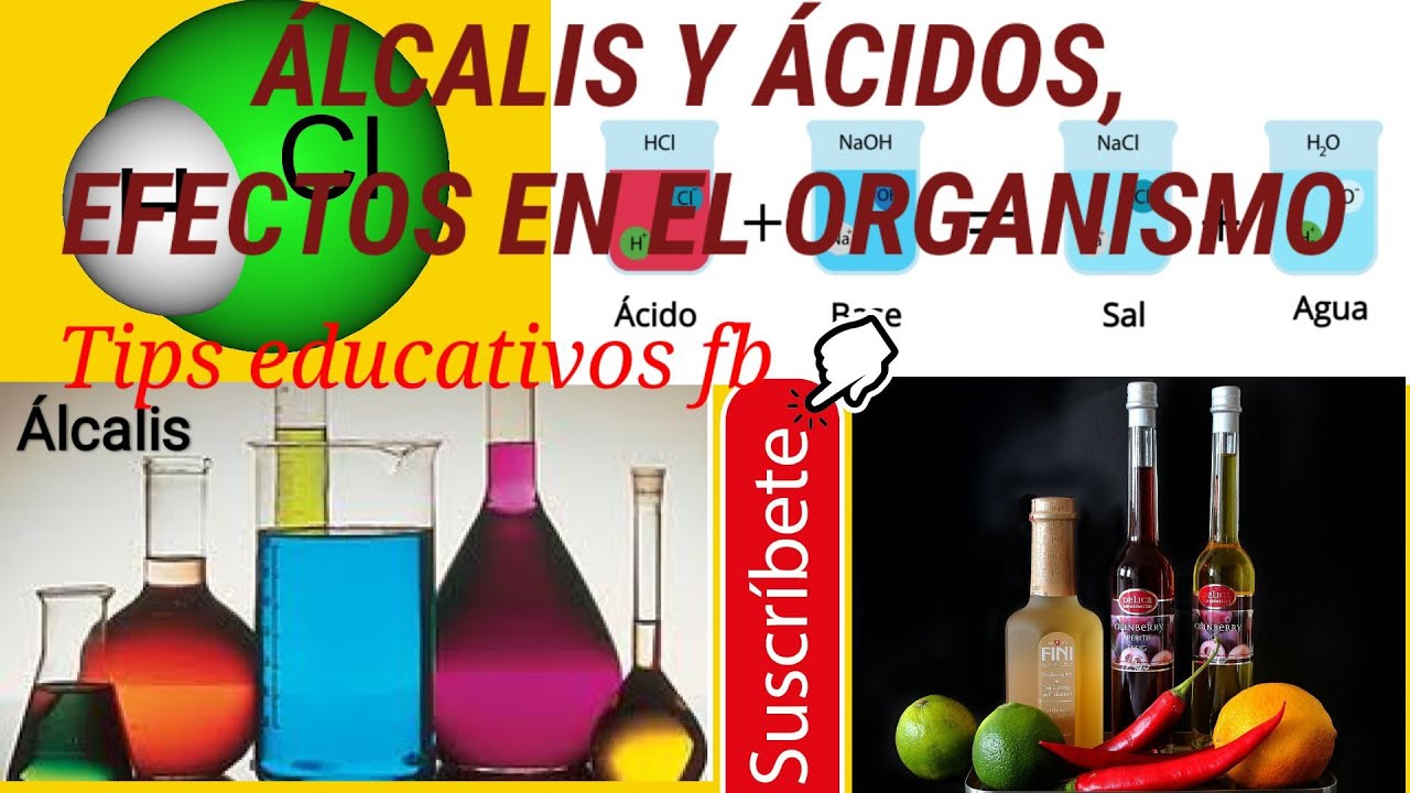 Álcalis y ácidos, efecto en el organismo - YouTube