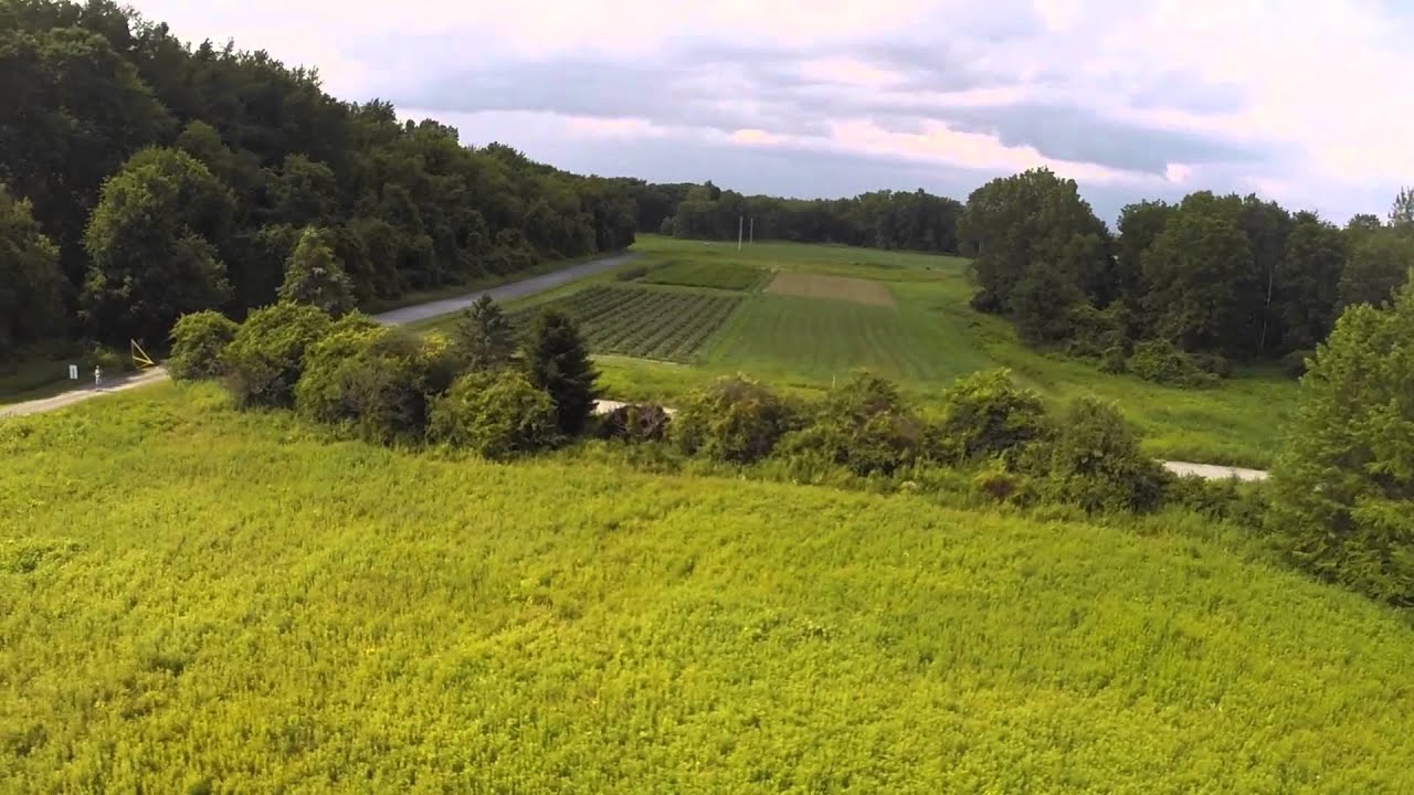 Vassar Farm July 7 - YouTube