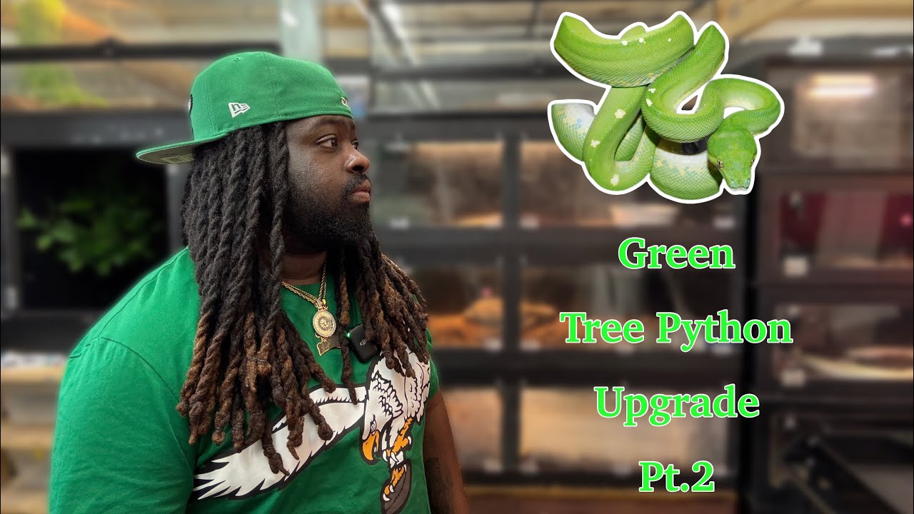 SGVLOG#6 | GREEN TREE PYTHON UPGRADE PT 2 - YouTube