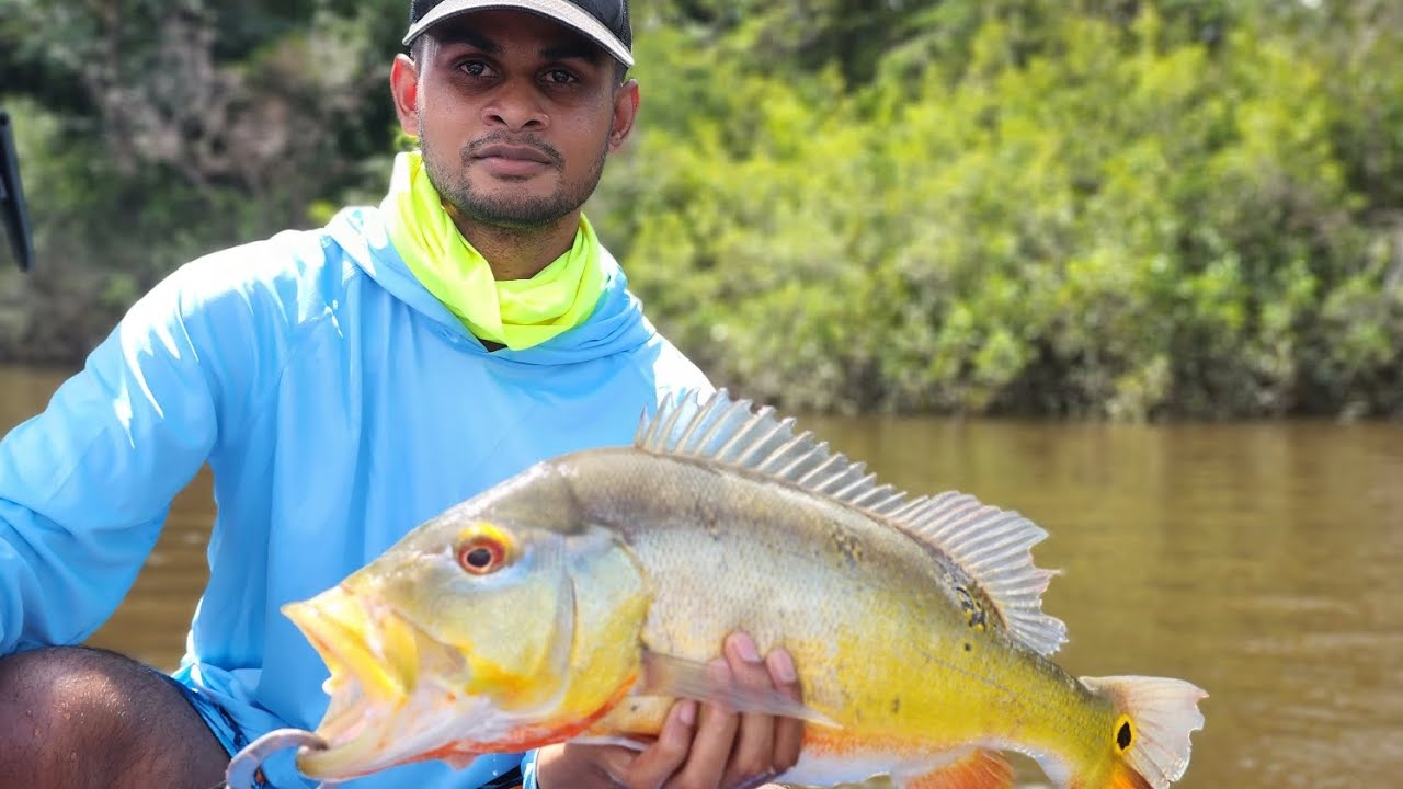 Guyana, Upper Essequibo River fishing. #peacockbass #arrowana #rapids ...