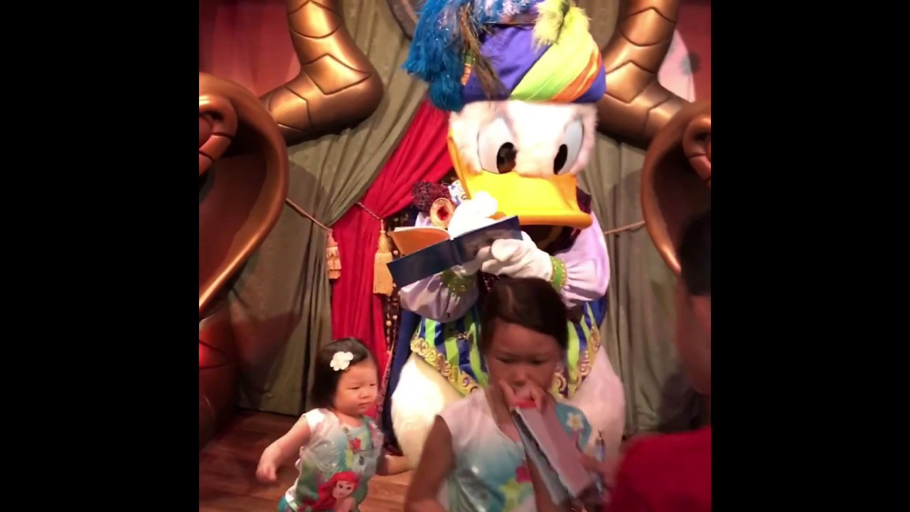 Meeting Donald Duck at Disney World - YouTube