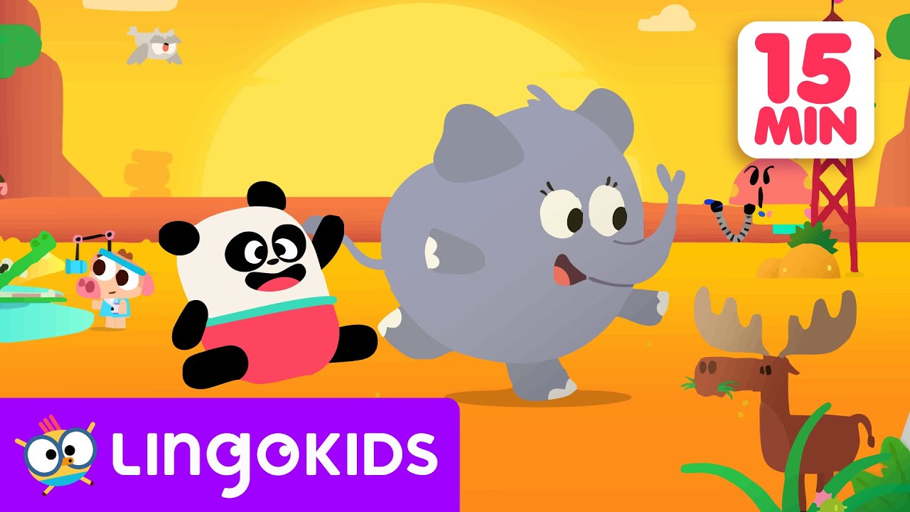 Meet the ANIMALS! 🦁 Explore & Learn with Lingokids - YouTube
